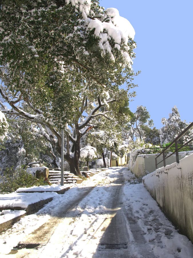 Snow path stock photo. Image of environment, frozen, landscape - 15696284