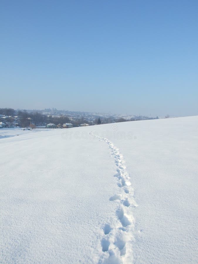 Snow path stock image. Image of spiritual, exploration - 28572295
