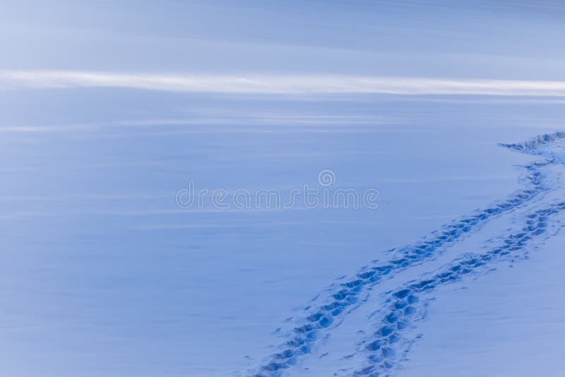 Snow Path with Footsteps in Winter Stock Image - Image of bright, light ...