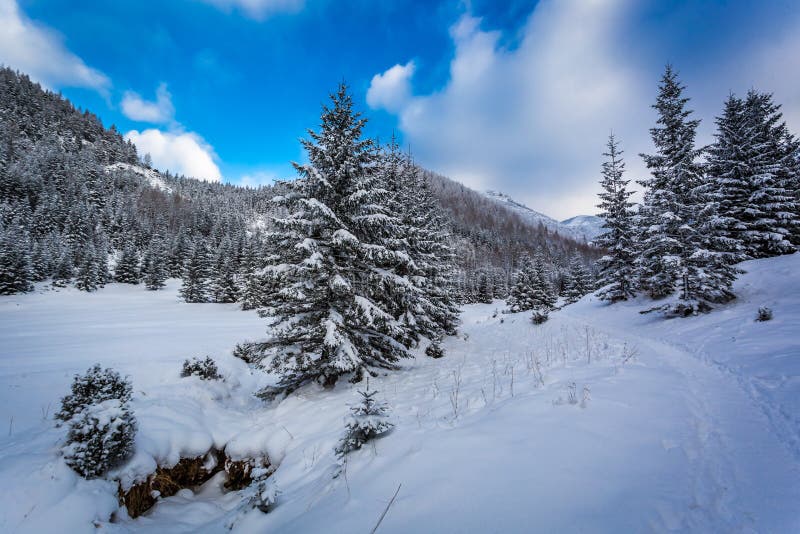 Snow Path in the Mountain Valley Stock Image - Image of hiking ...