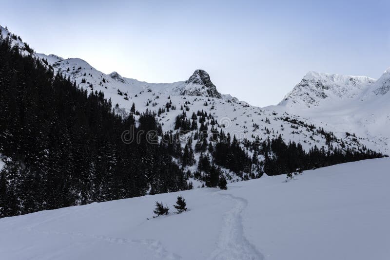 Snow Path in the Mountains stock photo. Image of snowy - 166898436