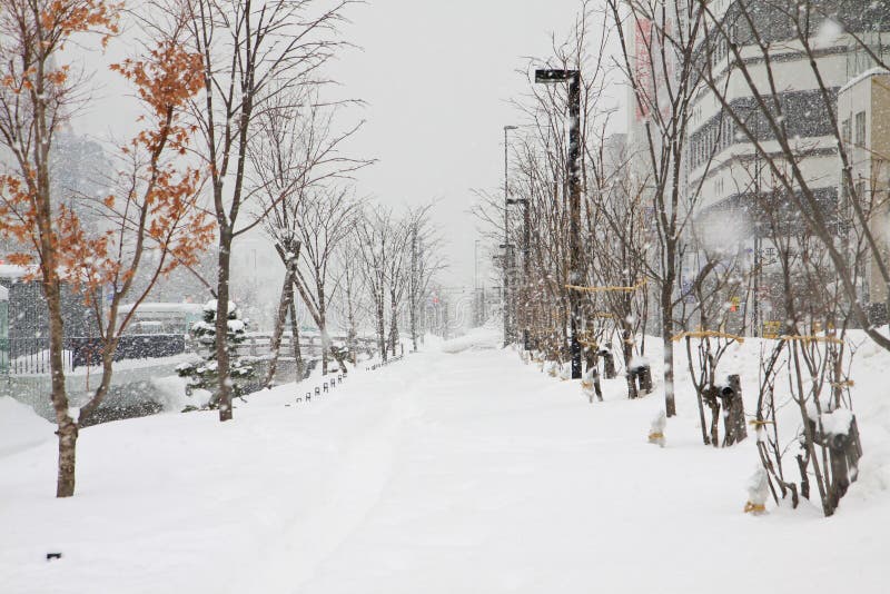 Snow Pathway in Country Village Stock Photo - Image of landscape, izba ...