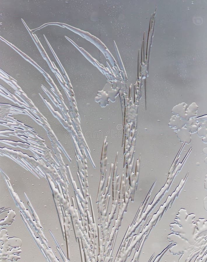 Snow Patterns on Glass As an Abstract Background Stock Photo - Image of ...