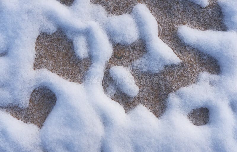 172 Regular Patterns Nature Stock Photos - Free & Royalty-Free Stock ...