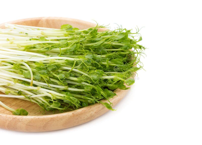 Snow Pea Sprouts on White Background Stock Photo - Image of life ...