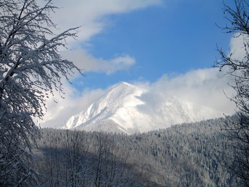 Snow peak stock photo. Image of fairy, powde, mountainside - 1202786