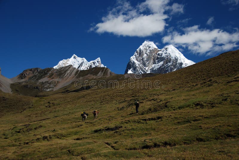 Snow peaks in Peru stock image. Image of clouds, mules - 12818449