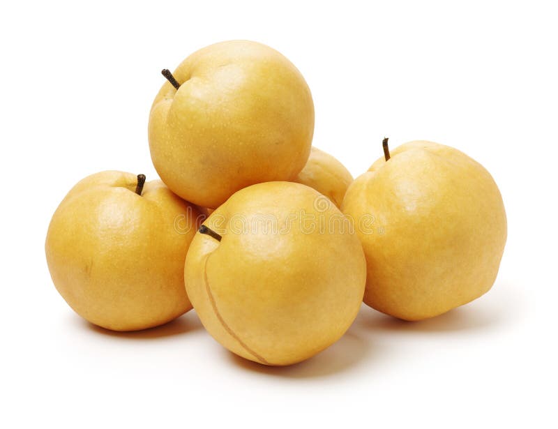 Snow pear fruit stock image. Image of horizontal, food - 122074189