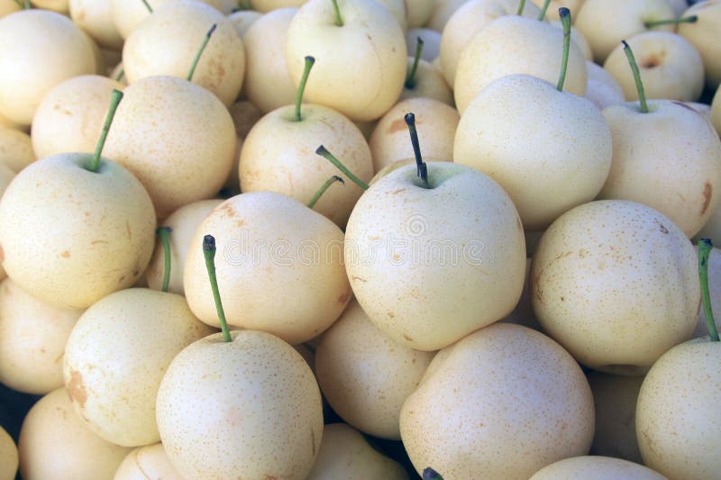 Snow Pear Piling Up in Together Stock Image - Image of taste, forestry ...