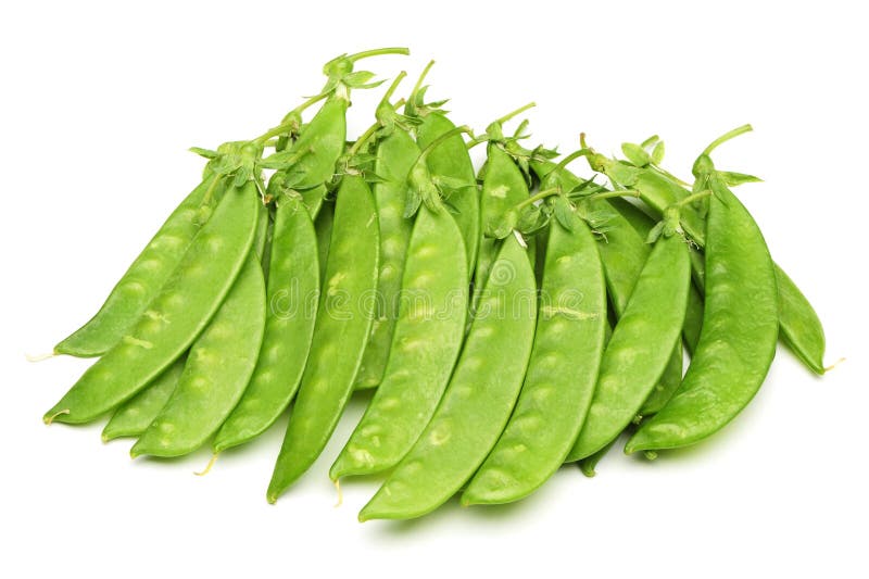 Snow peas stock image. Image of unshelled, fruit, snack - 24202459