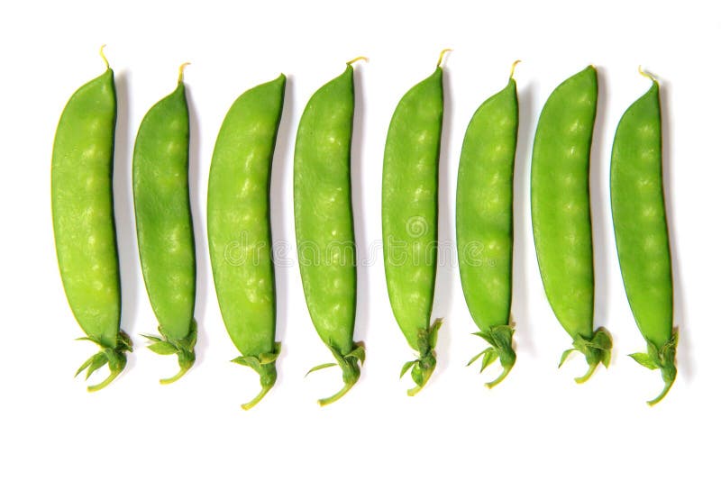 Snow bean closeup stock image. Image of closeup, freshness - 38303767