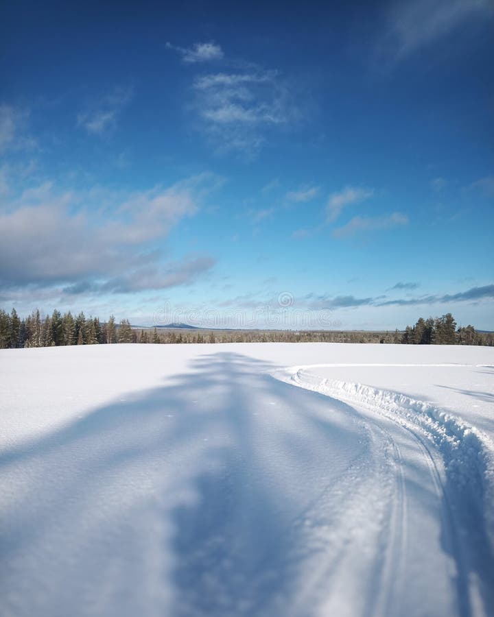 Snow Plain with Tree Shadow in Northern Sweden Stock Photo - Image of ...
