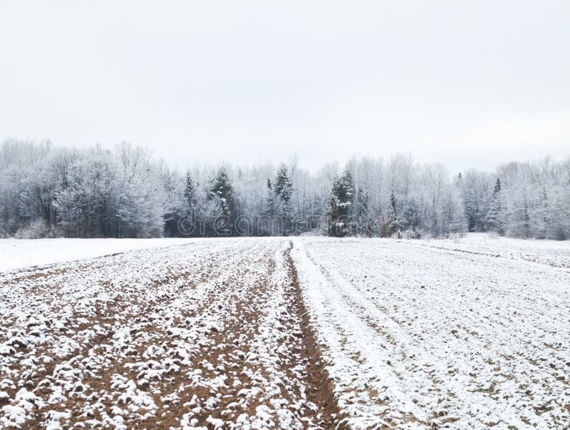 Snow on the ploughed field stock image. Image of frost - 179749351