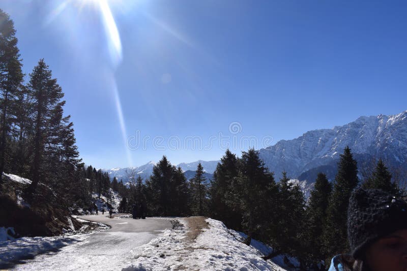 Snow Point Gulaba stock image. Image of point, chilled - 132508799