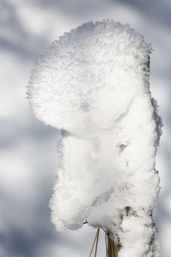Snow on Pole and Ice Flowers Stock Photo - Image of sunny, snow: 232234824