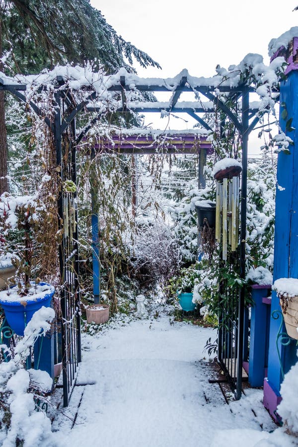 Snow on Porch 3 stock photo. Image of covered, fluffy - 88216394
