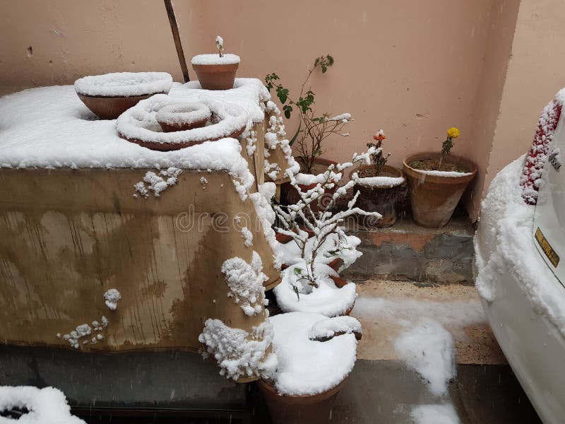 Snow on Pots and on Flowers Stock Photo - Image of sculpture, pots ...