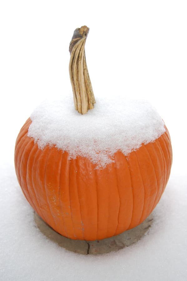 Snow Pumpkin 2 Stock Photos - Free & Royalty-Free Stock Photos from ...