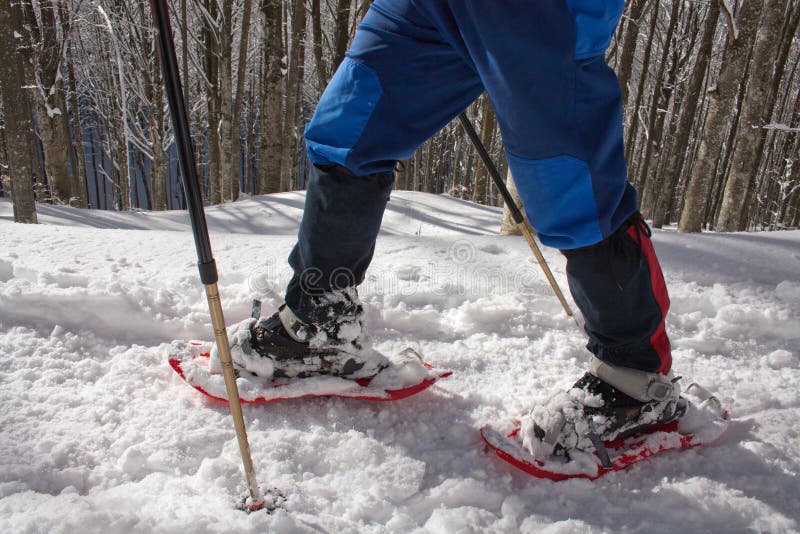Snow rackets people stock photo. Image of track, silence - 28931572