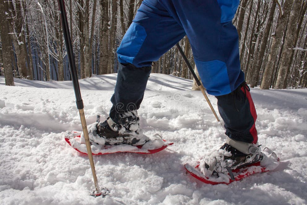 Snow rackets people stock photo. Image of track, silence - 28931572