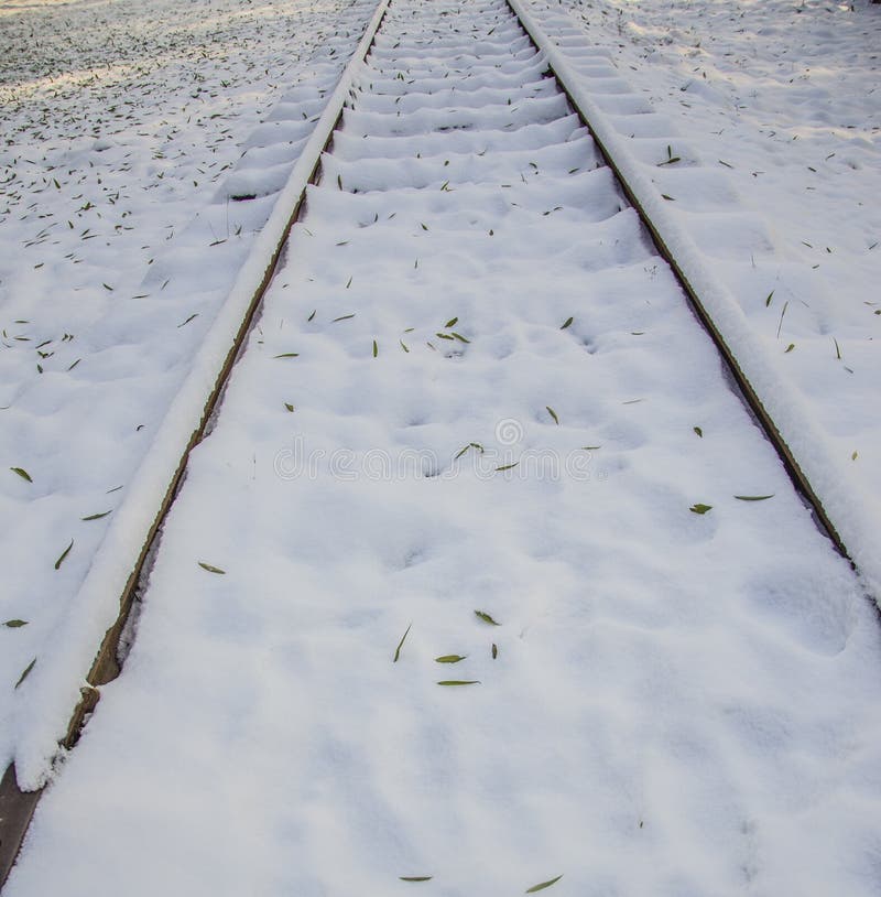 Snow and Rail stock photo. Image of leaves, cold, blizzard - 63326366