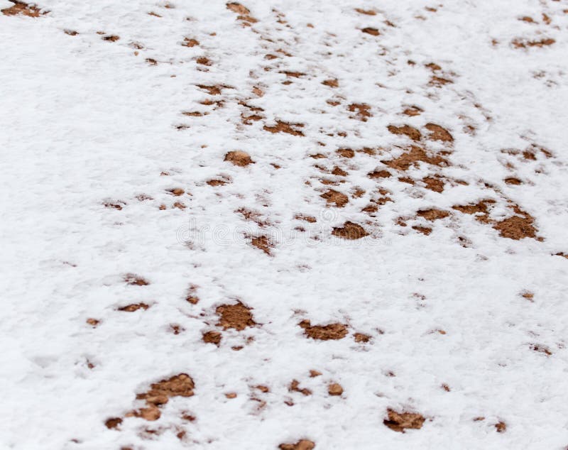 Snow on red clay in nature stock image. Image of nature - 109468527