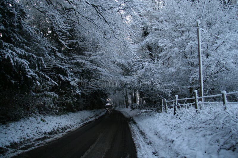 Snow Road stock photo. Image of snow, trees, countryside - 12259436