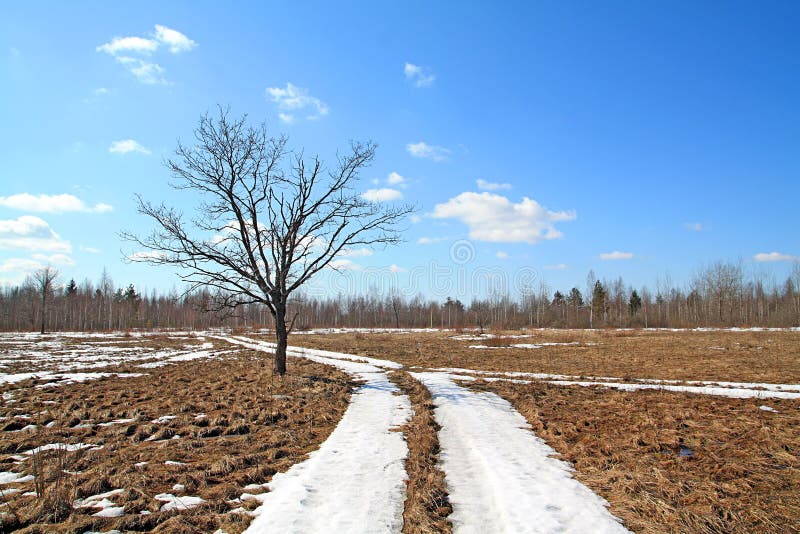 Snow road stock image. Image of forest, landscape, russia - 12457069