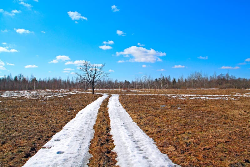 Snow on the Road stock image. Image of snow, pinetrees - 109833025
