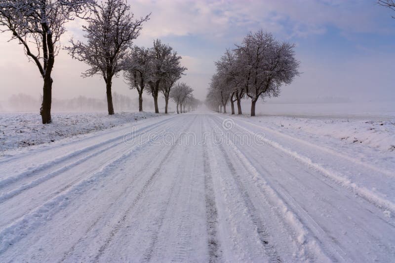 Winter Scene of Snow Covered Road and Trees Stock Image - Image of ...
