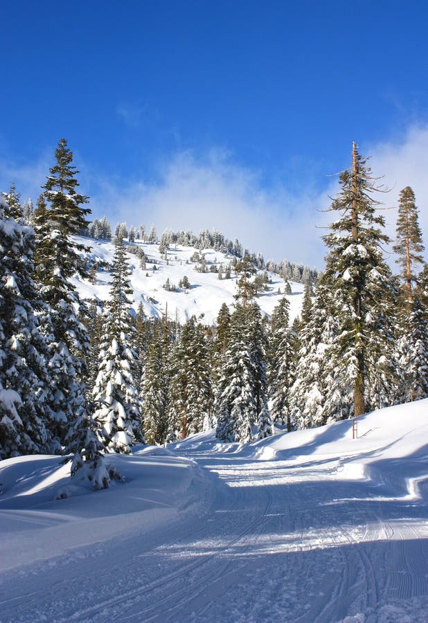 Snow road stock photo. Image of winter, snow, travel - 22688014