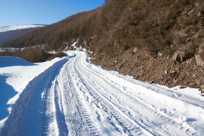 Snow road stock photo. Image of scenic, forest, scenery - 22794154