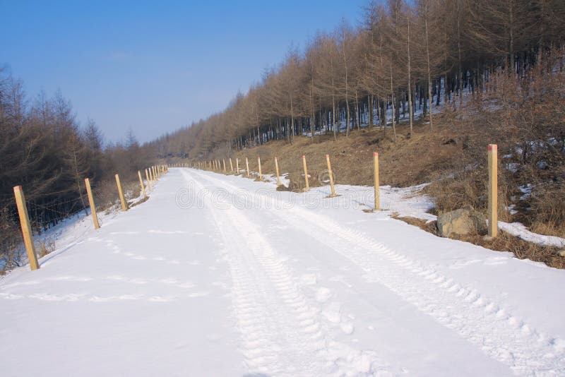 Snow road stock image. Image of sidehill, landscape, woods - 38213935