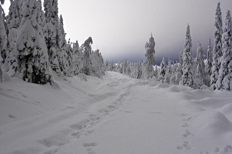 11,170 Road Deep Snow Stock Photos - Free & Royalty-Free Stock Photos ...