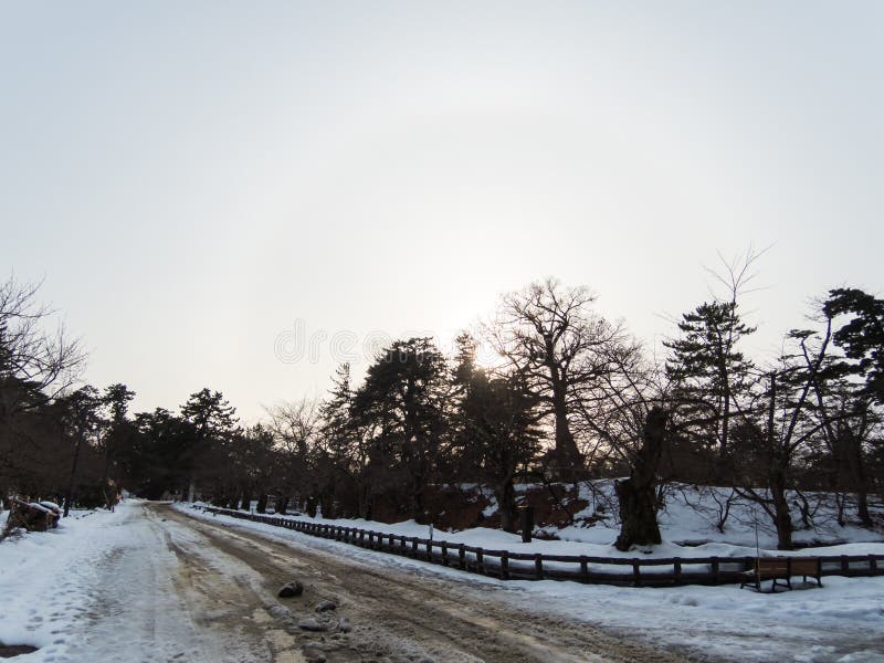 Snow on the road stock photo. Image of cold, snow, sightseeing - 108391750