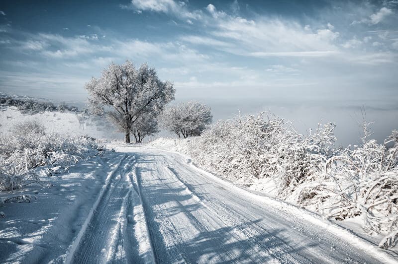 Snow on the Road stock image. Image of snow, pinetrees - 109833025