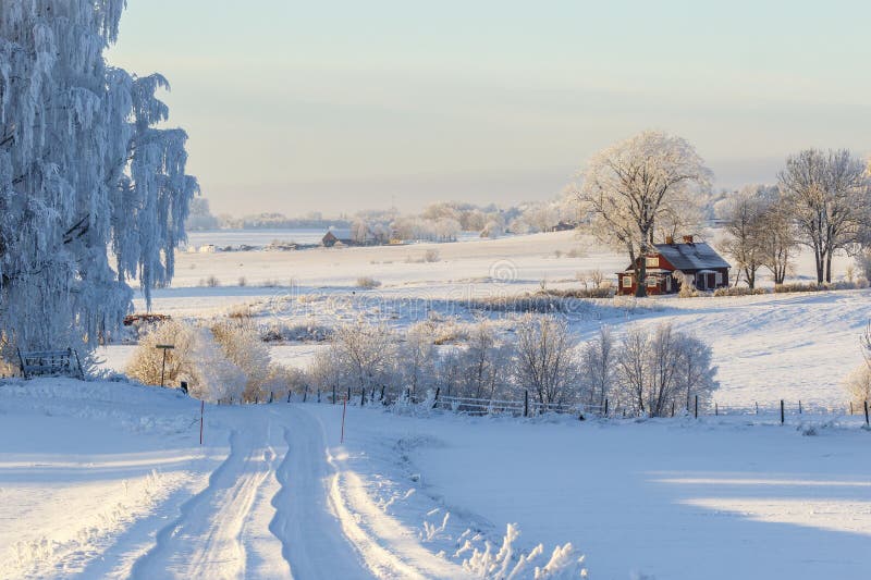 Snow the Road in a Rural Landscape Stock Photo - Image of landscape ...