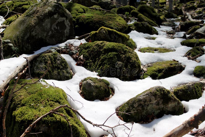 Snow and rocks stock image. Image of snow, white, moss - 25414099