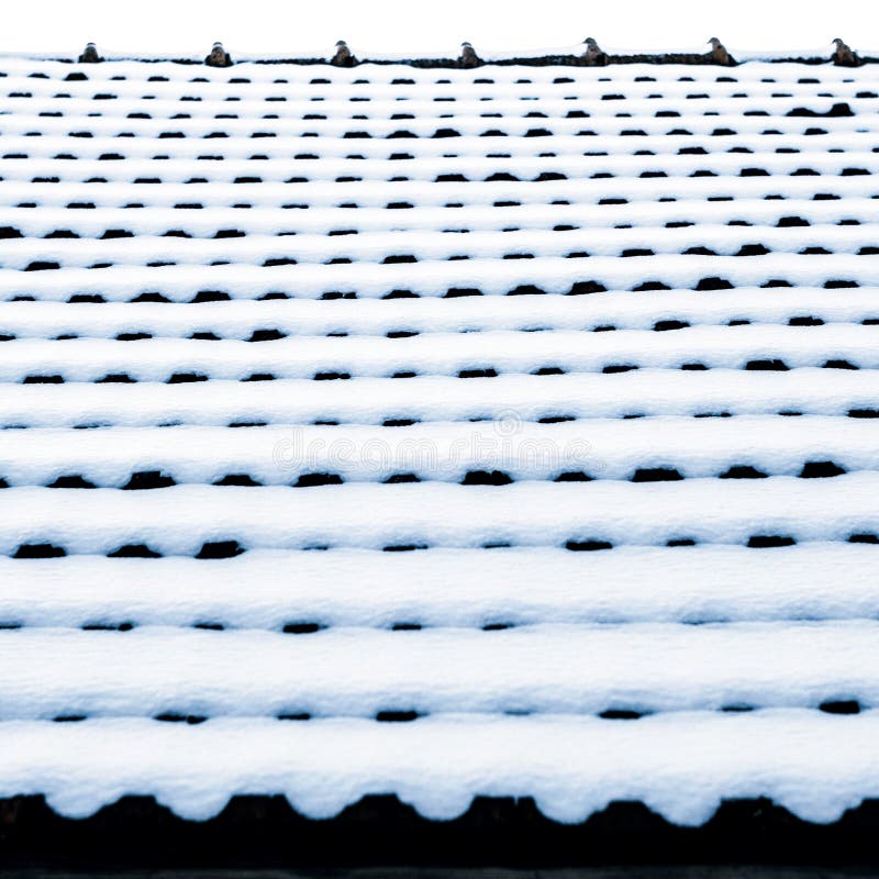 Snow on roof tiles stock photo. Image of construction - 46519714