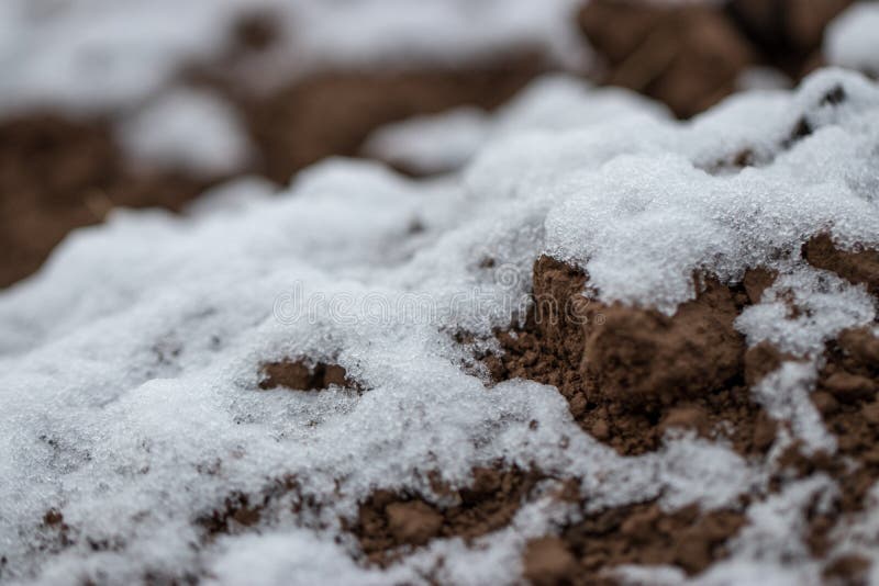 Snow on sand stock photo. Image of freezing, white, season - 221415200