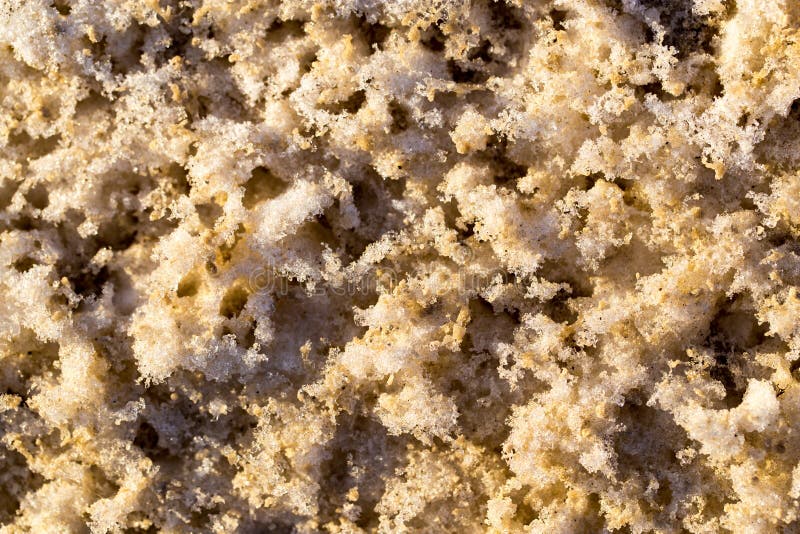 Snow with Sand As an Abstract Background Stock Image - Image of ...