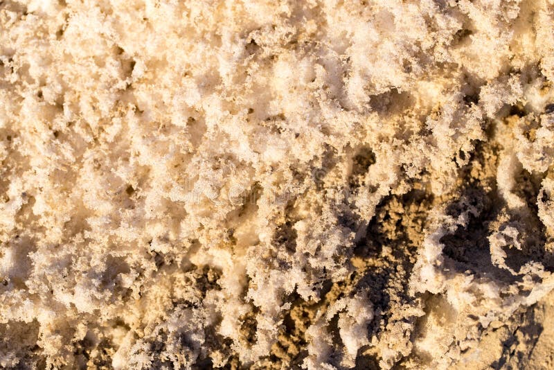Snow with Sand As an Abstract Background Stock Photo - Image of ecology ...