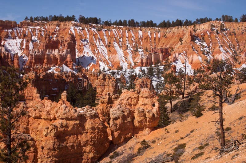 Snow on Sandy Slopes of Bryce Canyon, Utah, USA Stock Image - Image of ...