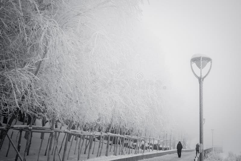 Snow Scene Dense Fog Rime Songhua River Editorial Photography - Image ...