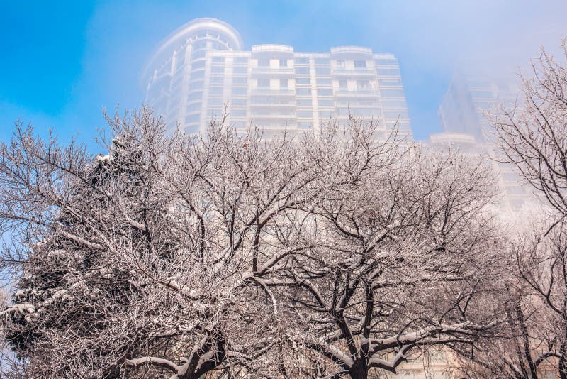Snow Scene Dense Fog Rime Songhua River Editorial Photography - Image ...