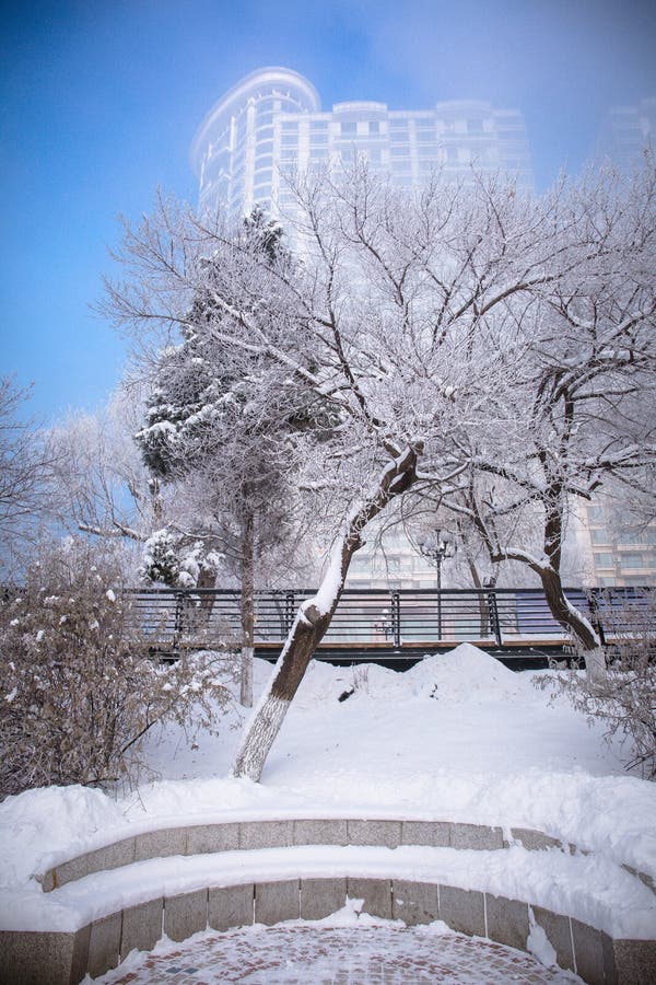 Snow Scene Dense Fog Rime Songhua River Editorial Stock Photo - Image ...