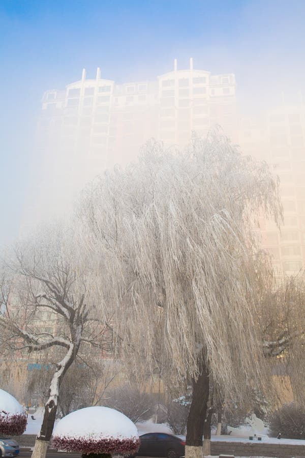 Snow Scene Dense Fog Rime Songhua River Editorial Stock Photo - Image ...