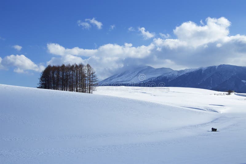 Snow scene in Japan stock image. Image of field, scenery - 85277943