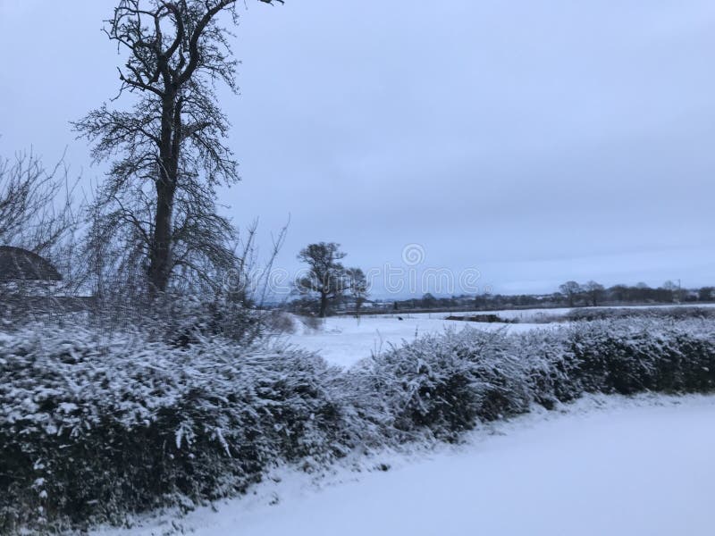 Snow Scene with Fields and Trees Stock Image - Image of trees, door ...