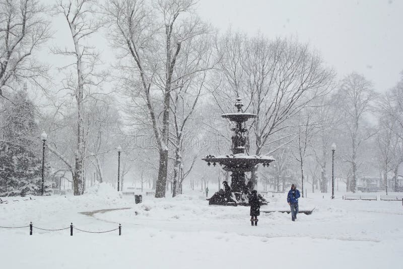 Snow Scenes stock photo. Image of trees, common, scenery - 50375000